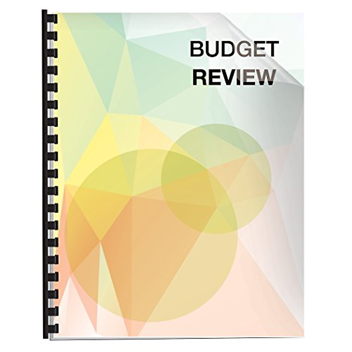 Fellowes Futura Premium Heavyweight Presentation Covers, Letter, Frosted, 25 Pack (5224301)