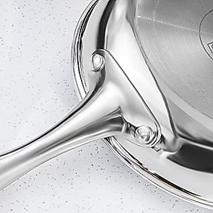 ROYDX 10inch Stainless Steel Skillet,Tri-ply Clad Non Toxic Frying Pan Oven Dishwasher Safe,Stay Cool Handle, Omelette Pan for Induction/Electric Gas Cooktops