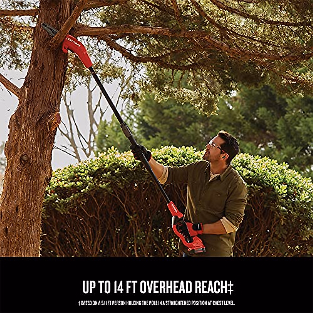 CRAFTSMAN V20 Pole Saw, 14-Foot, Cordless (CMCCSP20M1)