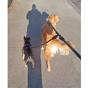 Mycicy Double Dog Leash Coupler, Extension Rope for Two Dogs, No Tangle Dual Dog Lead Splitter for Small Medium Dogs 10-35 lbs (1/3" X 33"- Pinkblue)