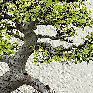 BambooMN Bonsai 4 Branch Benders Set for Bonsai - Plants