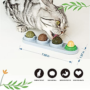 JLTKJ Catnip Ball Toy Cat Mint Wall Ball Catnip Toys for Cat Teeth Clean Edible Rotating Removable Catnip Balls Healthy Natural Cat Treats