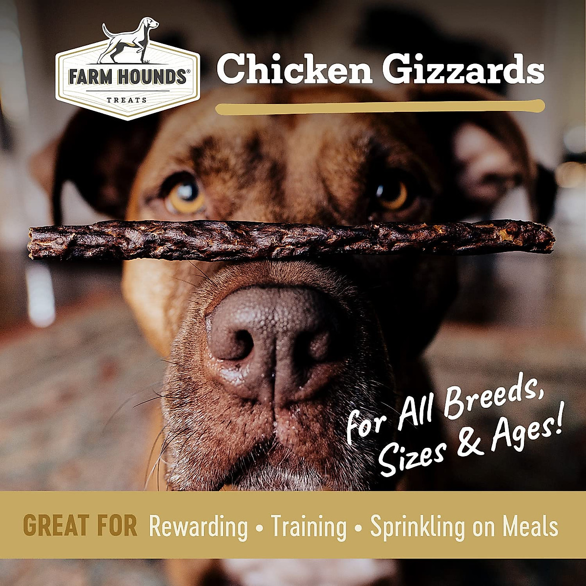 Farm Hounds - Chicken Gizzards - Premium Natural Chicken Jerky For Dogs - From 100% Humanely Raised Chicken - Break-To-Size - Great For Training & Treats - No Added Fillers - Made in USA - 4oz -1 Pack
