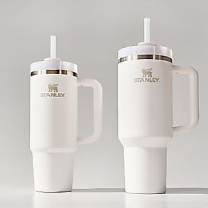 Stanley Quencher H2.0 Tumbler with Handle and Straw 30 oz | Flowstate 3-Position Lid | Cup Holder Compatible for Travel | Insulated Stainless Steel Cup | BPA-Free | Frost