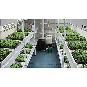 1.5” Rockwool Starter Plugs for Hydroponics, Rockwool Grow Cubes, 1 Sheets of 28 Plugs (Small)