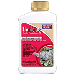 Bonide Thuricide BT Concentrate, 8 oz Ready-to-Mix Solution for Caterpillar, Moth and Worm Control in Lawn and Garden