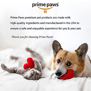 Prime Paws Ear Wipes for Dogs - Address Itchy Dog Ears & Help Remove Wax - Dog Ear Cleaner Wipes for Daily Ear Care - Canine Otic Cleanser Wipes with Aloe Vera & Pet-Safe Eucalyptus - 100 ct