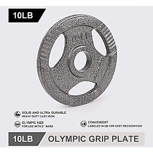 LIONSCOOL 2-Inch Olympic Grip Plate in Pairs or Single (10LB PAIR)