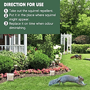 Two Bros. Repellent Squirrel Repellent Outdoor,Chipmunk Repellent Outdoor,Squirrel Repellents Indoor,Squirrel Deterrent,Natural Squirrel Repellent for Bird Feeders/Garden/Attic/Shed -10P, black