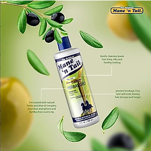 Mane N Tail Herbal Gro Shampoo, 12 Ounce