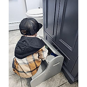 Dibsies Step Stool with Storage (Pink)