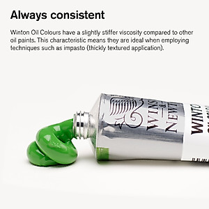 Winsor & Newton Winton Oil Color Paint Set, 20 x 12ml (0.4-oz) Tubes