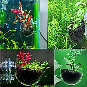 Tfwadmx Plant Pot Aquarium Decor Aquatic Plant Cup with 2 Suction Cup for Fish Tank Aquarium Aquascape(2 Pack)