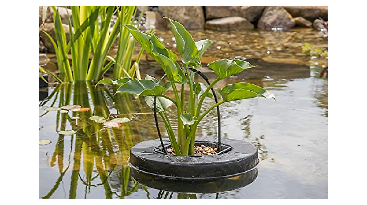 Floating Aquatic Plant Planters - 14" Pond H2o 2-Pack for Water Features