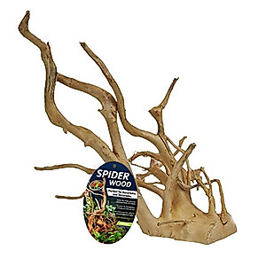 Zoo Med Spider Wood, Medium, Perfect for Aquariums and Terrariums (690855)