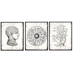 Occult Wall Art Set -8x10 Vintage Boho Rustic Home Decor, Decoration - Unique Mystical Shabby Chic Gift for Astrology, Zodiac Sign, Palm Reading, Palmistry, Phrenology, Tarot, Psychic, Fortune Teller