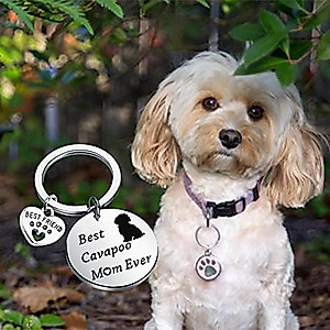 Lywjyb Birdgot Best Cavapoo Mom Ever Keychain Dog Lover Best Friend Cavapoo Gift (Best Cavapoo ky)