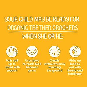 Happy Baby Organics Baby Snacks, Gentle Teething Crackers, Gluten Free & Vegan, Mango & Pumpkin, 12 Count (Pack of 6)