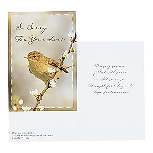 DaySpring - Sympathy - Comforting Thoughts - 12 Boxed Cards, KJV (60934),Multi