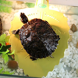 WEAVERBIRD Turtle Terrace Basking Platform Small or Amphibian Turtle Frog Crab and Tank Decoration, Leaf Shape Design