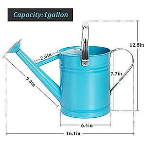Joequality Watering Can for Outdoor&Indoor Plants，Galvanized Steel Watering Can with Stainless Steel Handles，1 Gallon Metal Plant Watering Pot Gardening Tools，Blue