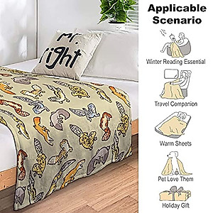 Hon-Lally Cartoon Cute Leopard Gecko Pattern Blanket Throw Warm Cozy Flannel Fleece Lightweight Plush for Living Room Bedroom Sofa Couch for Kids and Adults - 40inchx50inch White-style