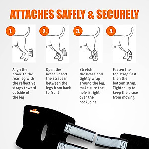 NeoAlly - Short Rear Leg Hock Brace, Dog Leg Brace for Rear Leg, Hock & Ankle Support, Dog Brace for Torn ACL & CCL, Dog Leg Sleeve with Reflective Straps, Small, Black, 1 Pair