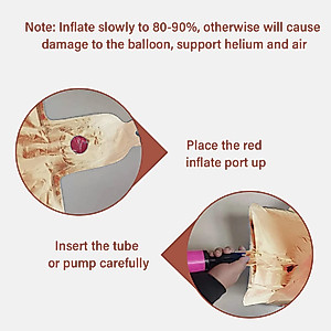 Santonila 19th Birthday Party Set-I am 19 Bitches Funny Banner Confetti Rose Gold Balloons for Girls 19 Years Old Birthday Decoration