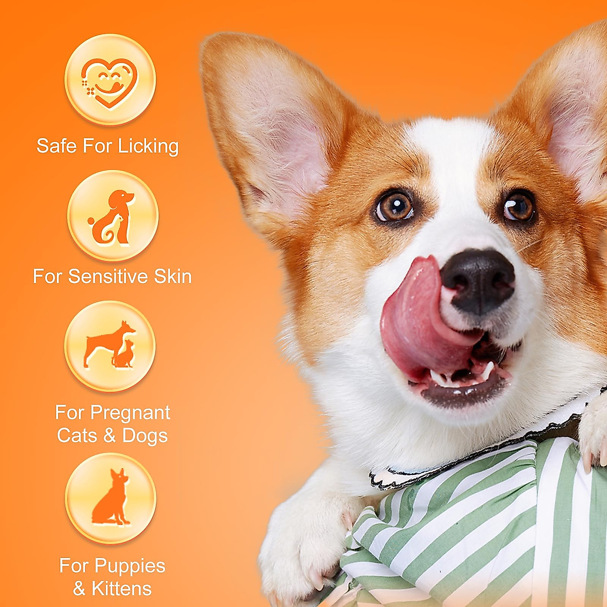 PUAINTA Hot Spot Spray for Dogs, Pipot Skin Spray for Dogs, Itch Relief and Hot Spot Treatment for Dogs, Supports Skin Infections and Irritations, 3.38oz