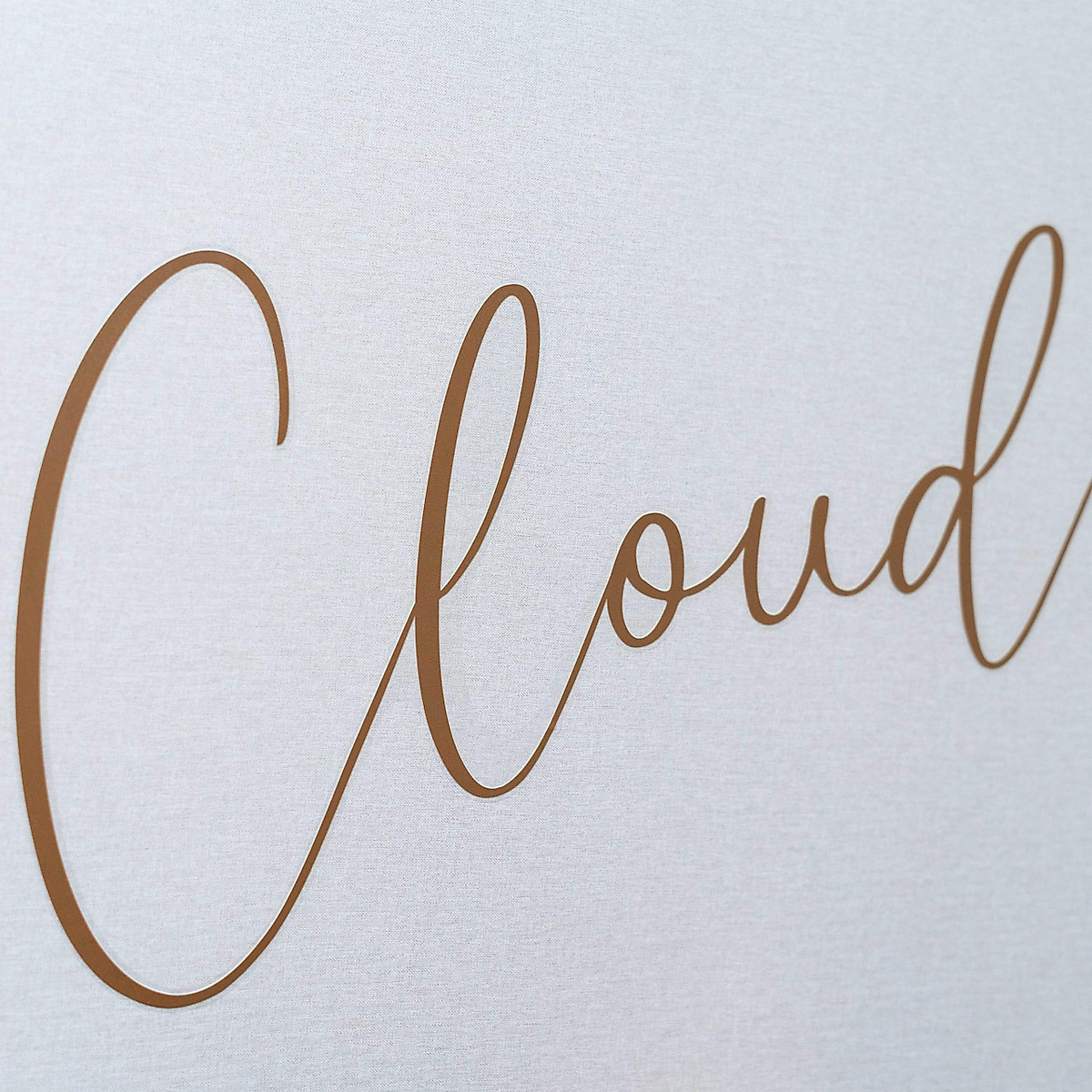 CANTLY We Are On Cloud Nine Wall Decal - Cloud 9 Baby Shower Decorations,Bachelorette Party Decorations, Bride To Be Party Supplies, Cute Baby Shower Decor, Bridal Shower, Engagement Photobooth Backdrop(On Cloud 9 Sticker)