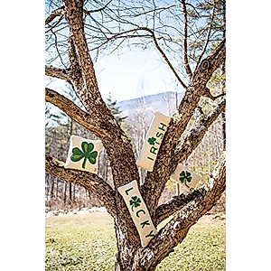 Chandler 4 Corners Artist-Designed Shamrock Hand-Hooked Wool Decorative Throw Pillow (8” x 12”)