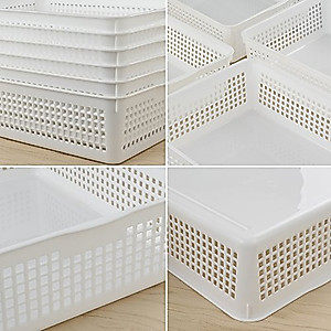 Lesbin Plastic Storage Trays Baskets/Organizing Baskets, 13.2 Inches x 9.6 Inches x 3.6 Inches, Set of 6 (White)