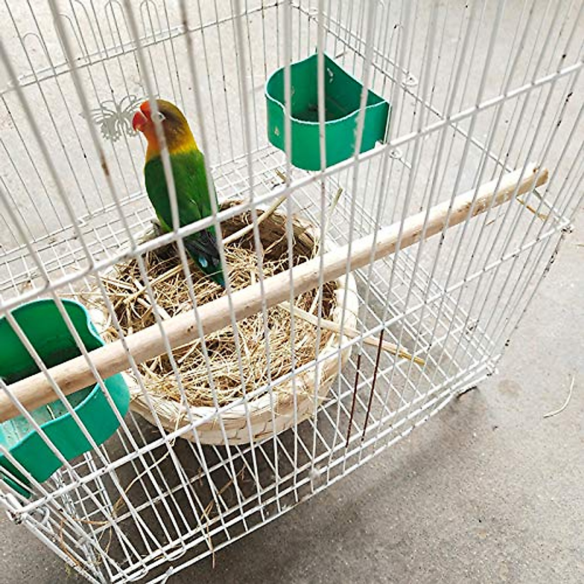 Lucky Interests Coconut Fiber, 9oz. Comfortable Bedding for Small Birds and Animals, Nest Material for Nest Building, Hideouts, Plants and Upholstery