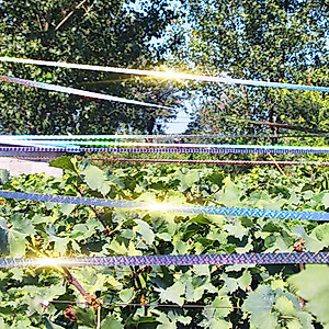 Bird Scare Ribbon Double Sided Holographic Reflective Ribbon Tape to Keep Away Woodpecker, Pigeon, Hawks, Grackles Bird (0.9in x 260ft)