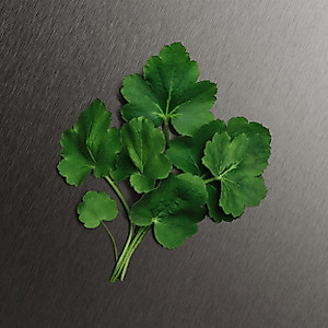 Calvin Klein Eternity Alcohol Free Deodorant Stick for Men, 2.6 Ounce