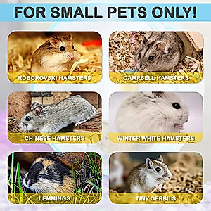 Silent Hamster Wheel, Super Quiet 8.3 Inch Hamster Exercise Wheel with Firm Bearing Lock and Stand, Hamster Cage Runner Wheels Accessories for Hamster Tiny Gerbil Mice or Other Small Animals