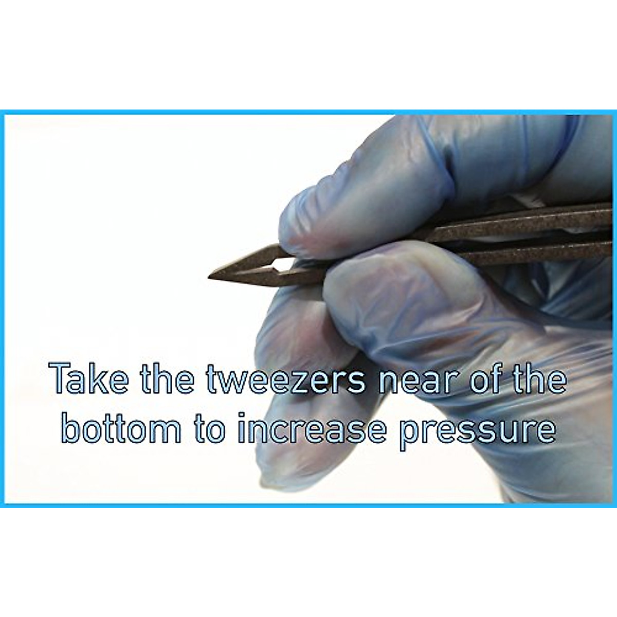 Bird Sexing DNA Slim Sample Card. Gender Reveal Test for Parrots, Macaws, Lovebirds, Cockatoos, Grey African, Silkies‎, Cockatiels (+300 Psittacines) Avian Sexing DNA Testing