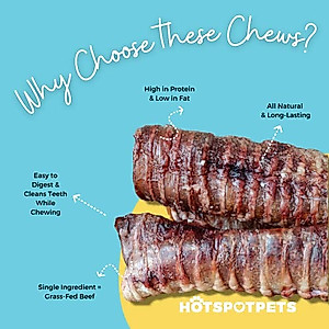 hotspot pets Premium 12'' Beef Trachea for Dogs Large - All Natural Long Lasting Dog Chews Rich in Glucosamine & Chondroitin 100% Beef Chews Single Ingredient Grass Fed Dog Treats