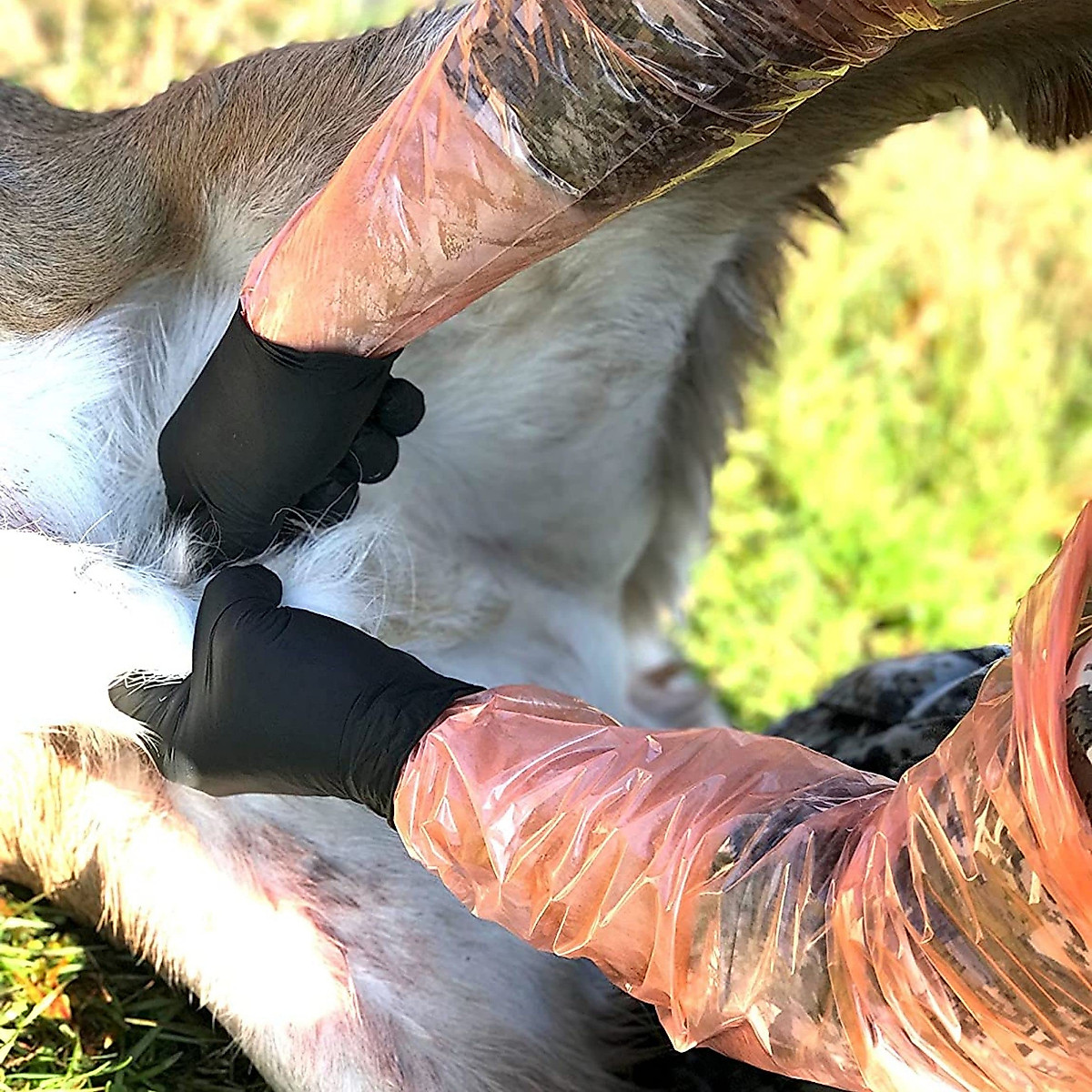 Guardian Hunting Deer Gutting Gloves Field Dressing Gloves with Long and Short Gut Glove Combo Pack (Black/Orange, 3 Pack (6 Pairs))