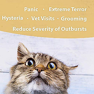 Botanical Animal Safe Natural Flower Essence - Panic Attack For Hysterical Behaviors - Terror, Fear - Due To Travel, Competition, Other - Non-Mood Altering, Hemp-Free, Non Allergenic Product,1oz(30ml)