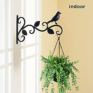 JIALAI HOME 2 Pack Hanging Plants Bracket 12" Bird Planter Outdoor Hooks Hangers for Flower Baskets Pot Bird Feeder Wind Chimes Lanterns Patio Garden Outdoor Indoor Metal Black