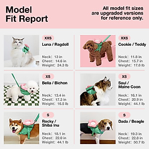 VETRESKA Flora Dog Harness, Leash and Collar Set, No Pull Dog Vest Harness for Walking and Training, Adjustable, Easy Control and Soft Padded Pet Harness and Backpack for Small Medium Large Dogs, S