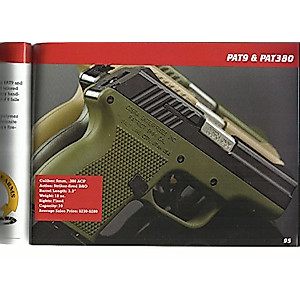 CARRY GUN COMPANION, 2nd AMENDMENT MEDIA (HIGHLIGHTING HANDGUNS FOR TODAY'S CONS