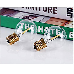 12 Pack 0.5W LED Replacement Light Bulbs, E17 Intermediate Base Warm White 2700K Equivalent to 5W 7W Incandescent Bulb, Clear Glass G40 Bulb for Indoor Outdoor Edison String Light, 120V