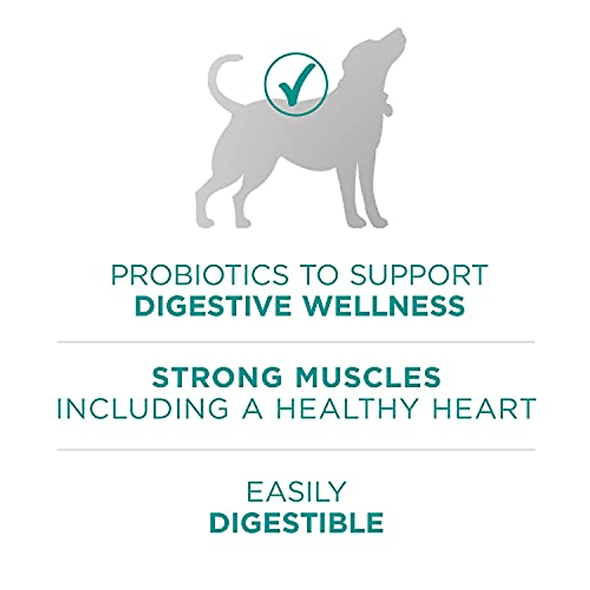 Purina One Plus Digestive Health Formula Dry Dog Food Natural with Added Vitamins, Minerals and Nutrients - 16.5 Lb. Bag