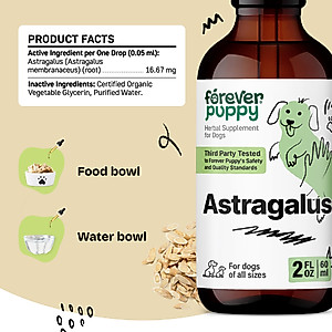 Astragalus Tincture for Dogs - Dog Immune Support Drops w/Astragalus Root - Liquid Astragalus Supplement for All Breeds & Sizes - Dog Food Supplements for Immunity - 2 oz