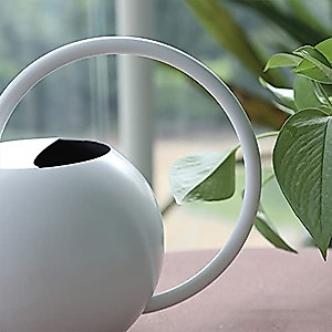 Flueyer 0.4L Metal Watering Can, Long Spout Watering Kettle Indoor Outdoor Home, Modern Style Garden Watering Pot for Office House Watering Bonsai Plants