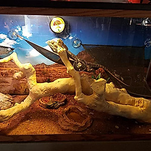 kathson Bearded Dragon Hammock Lounger Reptile Breathable Mesh Hammocks Hanging Vines Plants Tank Accessories Habitat Decor for Lizard Gecko Snake Chameleon Iguana Amphibians(3 PCS)