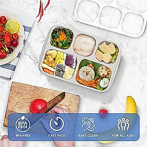 Bento Lunch Box, Bento Box, Reusable Lunch Box Kids with 5 Compartments Meal Prep Containers for Kids and Adults, Lunch Snack Containers with Utensils & Transparent Lids for School, 4 Pack (Wheat)
