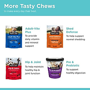 Nutri-Vet Pet-Ease Soft Chews for Dogs - Vet Formulated with Chamomile and Tryptophan to Soothe and Calm Dogs - Approximately 65 Soft Chews